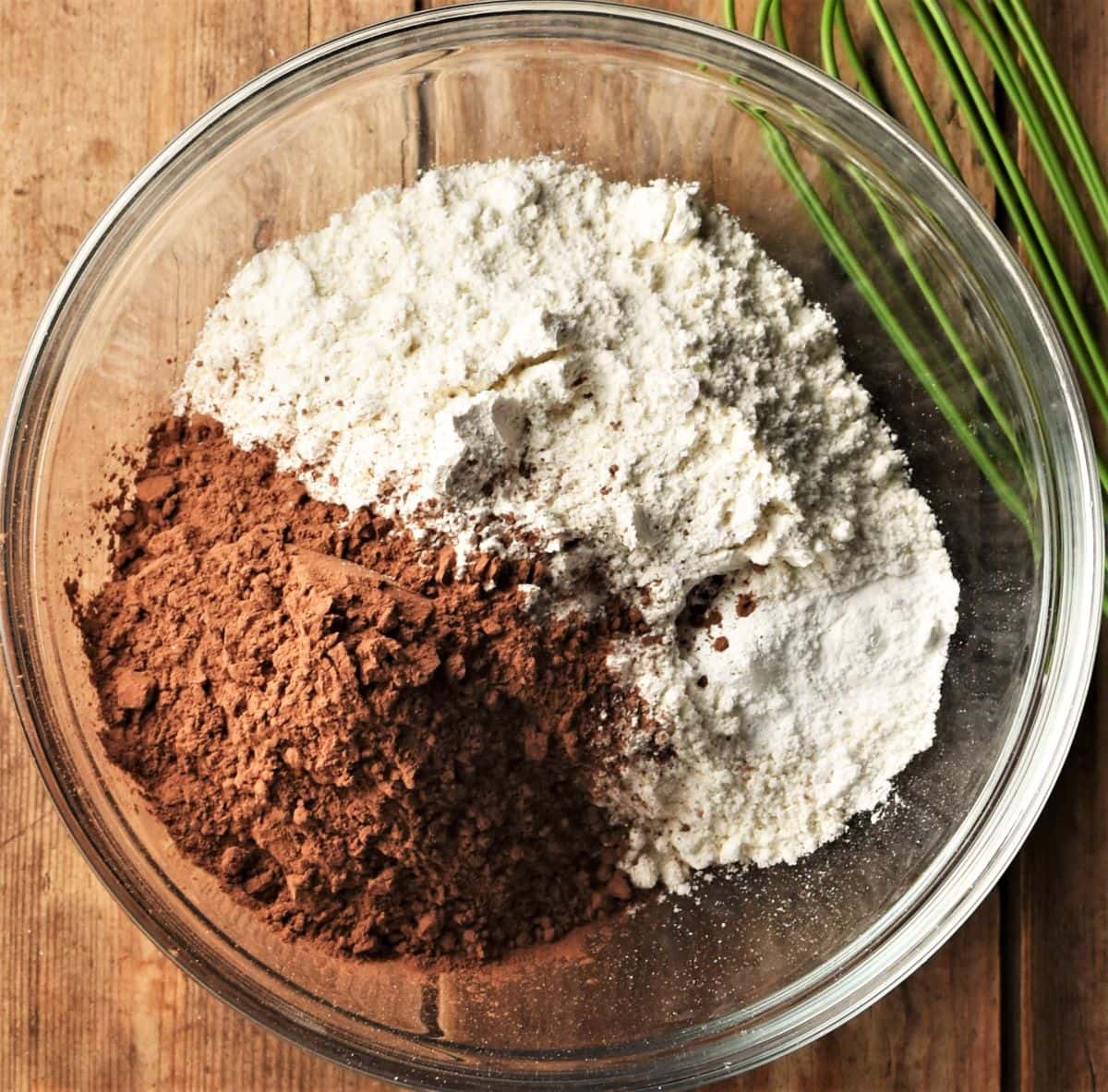 Chocolate Coconut Cake (Dairy Free) - Everyday Healthy Recipes