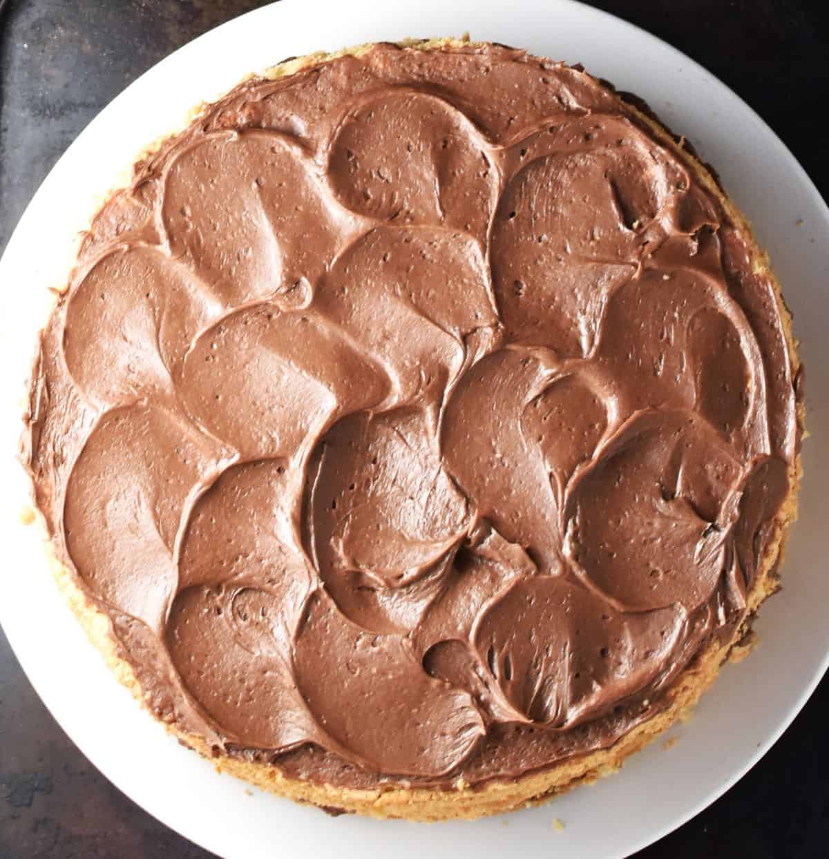 Polish-Style Hazelnut Chocolate Torte Cake - Everyday Healthy Recipes