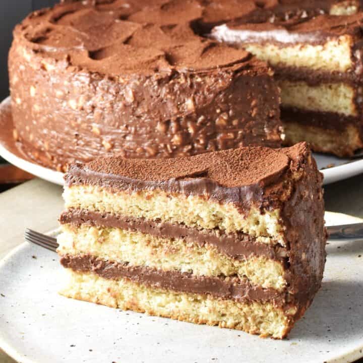 Polish-Style Hazelnut Chocolate Torte Cake - Everyday Healthy Recipes